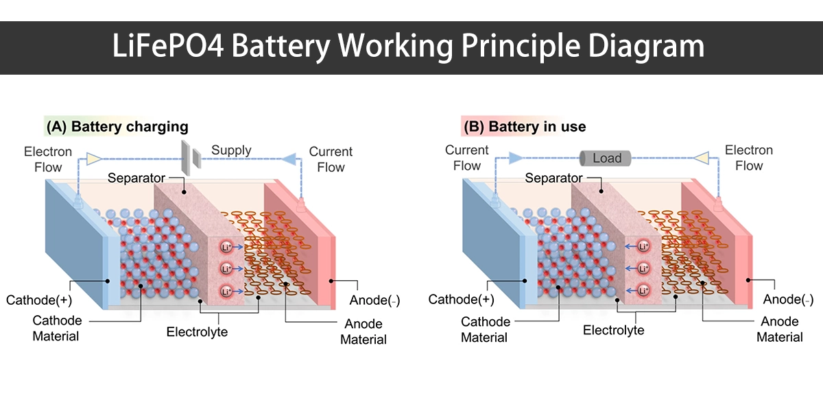 AGM vs LiFePO4 Batteries: A Comprehensive Comparison & Buying Guide